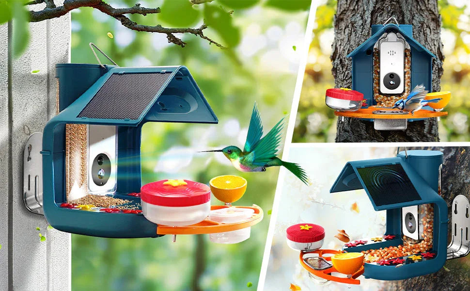 Birdwatching Goes High-Tech, the Ultimate Backyard Experience ...